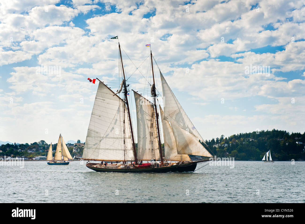The schooner "Pacific Grace" sailing off of the historic port city of ...