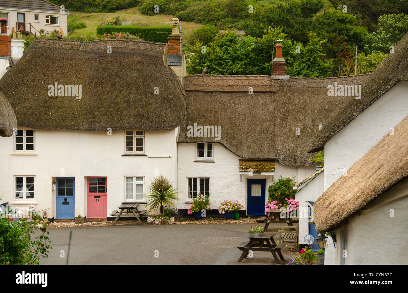 Thatched roof houses uk hi-res stock photography and images - Alamy