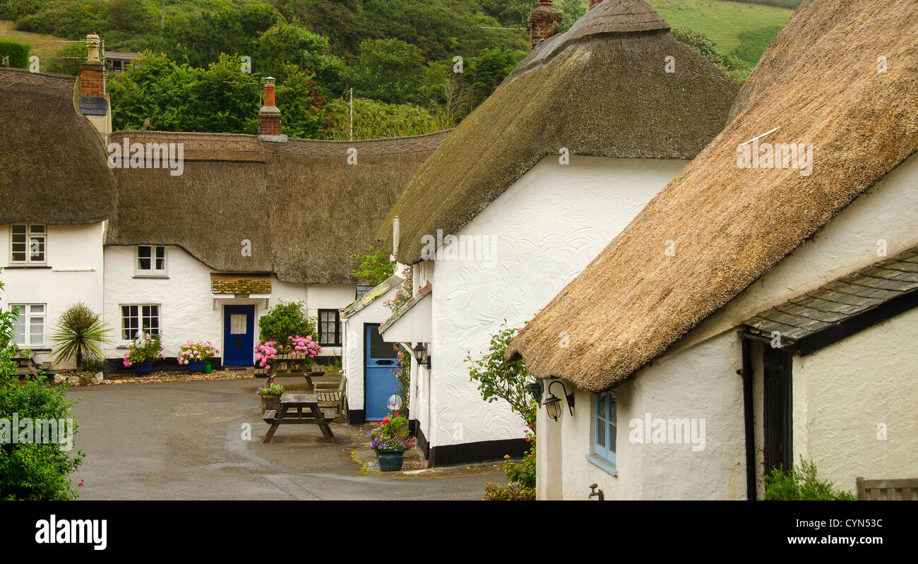 Thatched Cottages, Hope, Devon, UK Stock Photo - Alamy