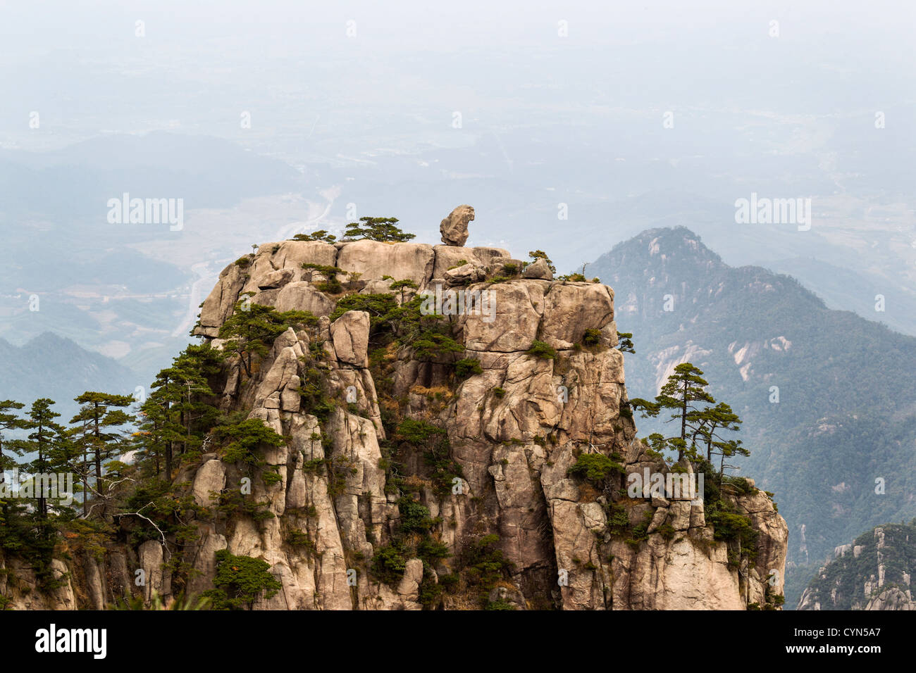 Monkey natural statue hi-res stock photography and images - Alamy