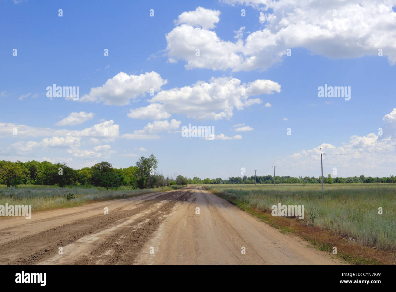 Way through the wood hi-res stock photography and images - Alamy