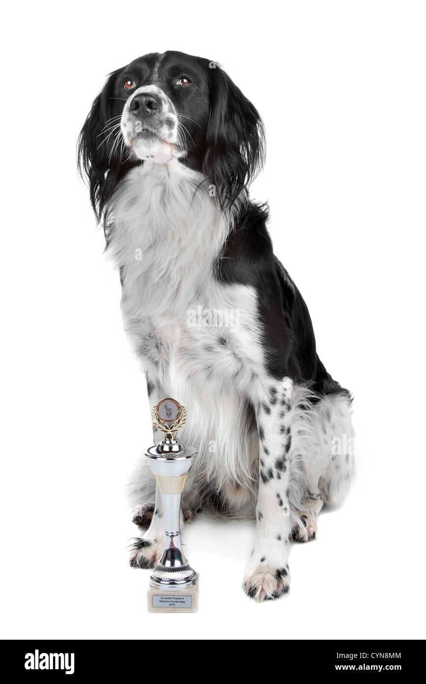 Mixed breed dog and his prize sitting, isolated on a white background ...