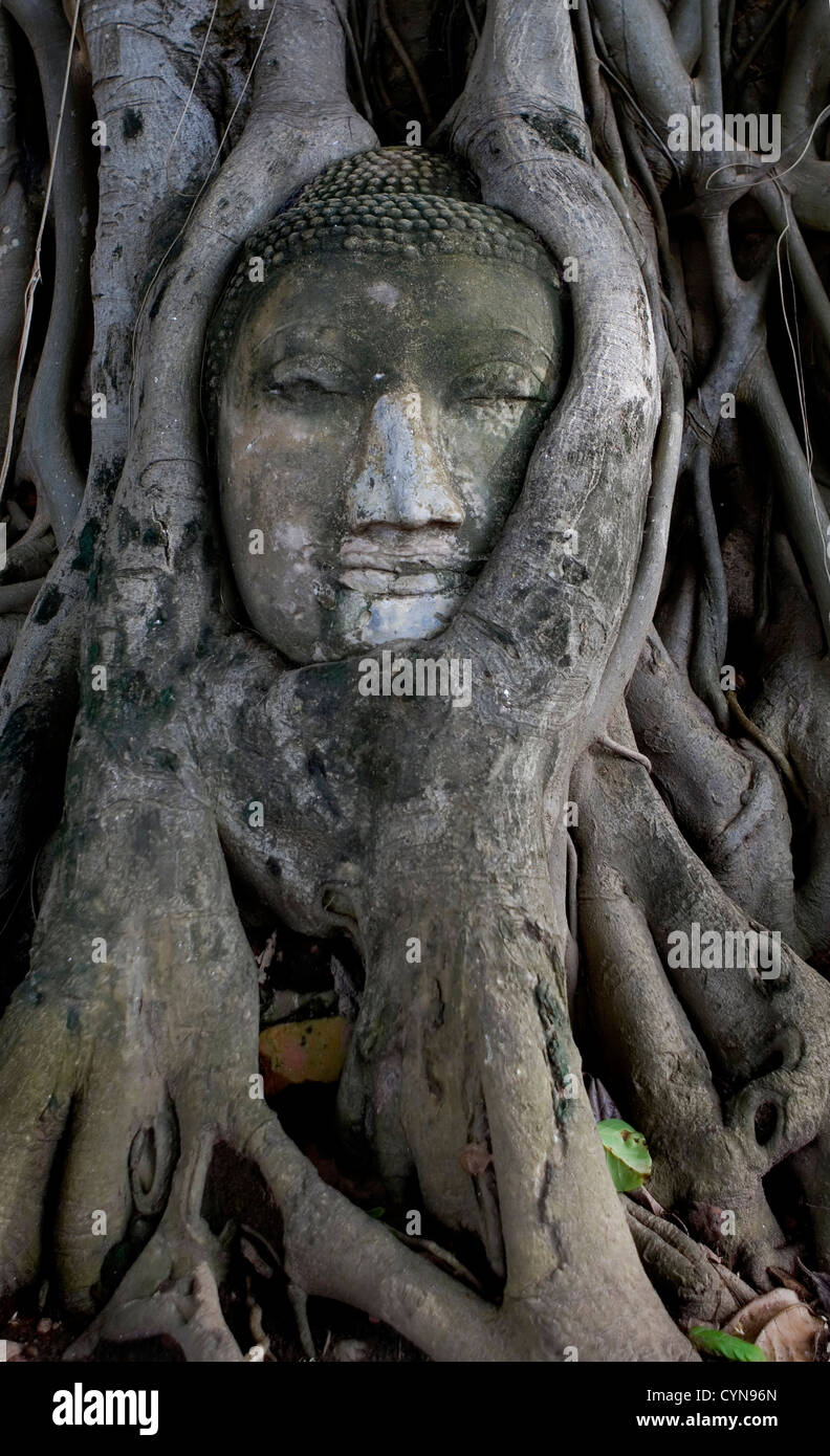 Encapsulated hi-res stock photography and images - Alamy