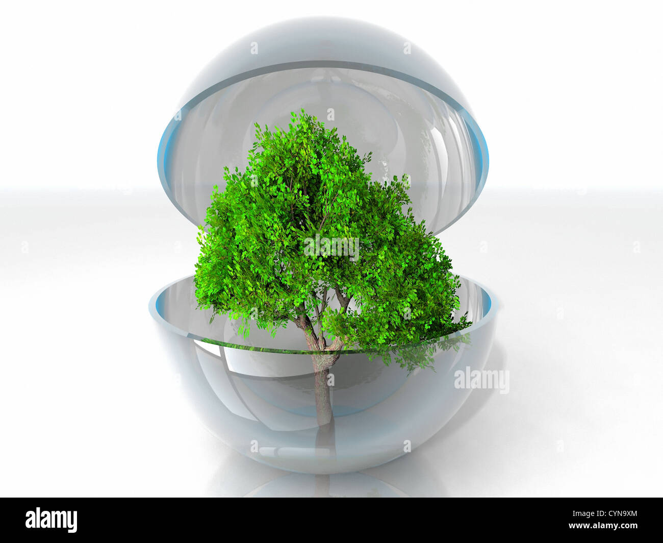 a green tree in a transparent bubble Stock Photo - Alamy
