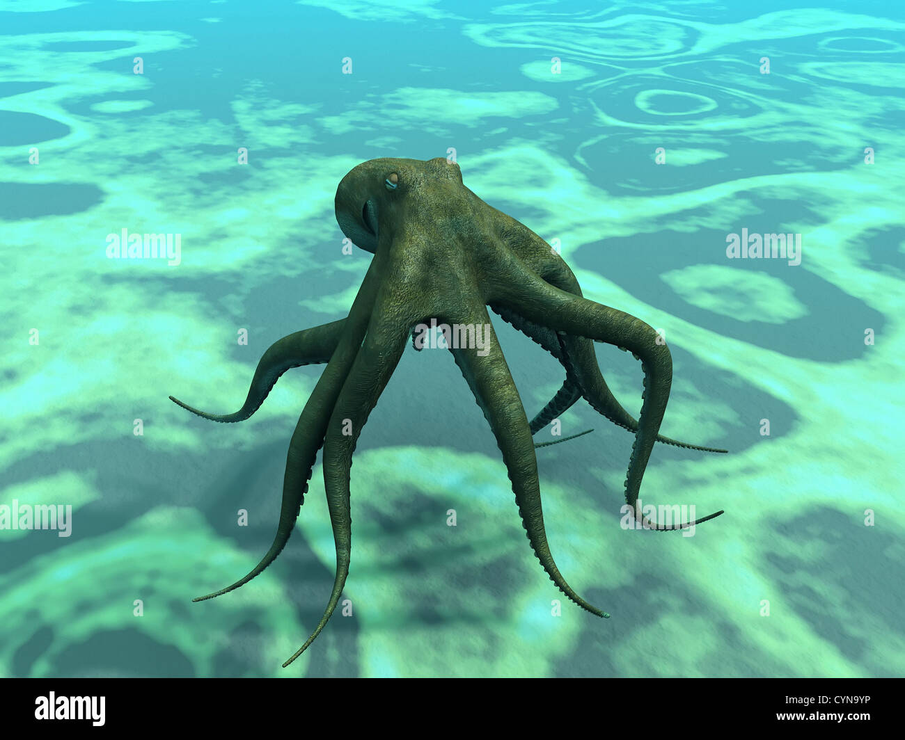 octopus at the bottom of the sea Stock Photo - Alamy