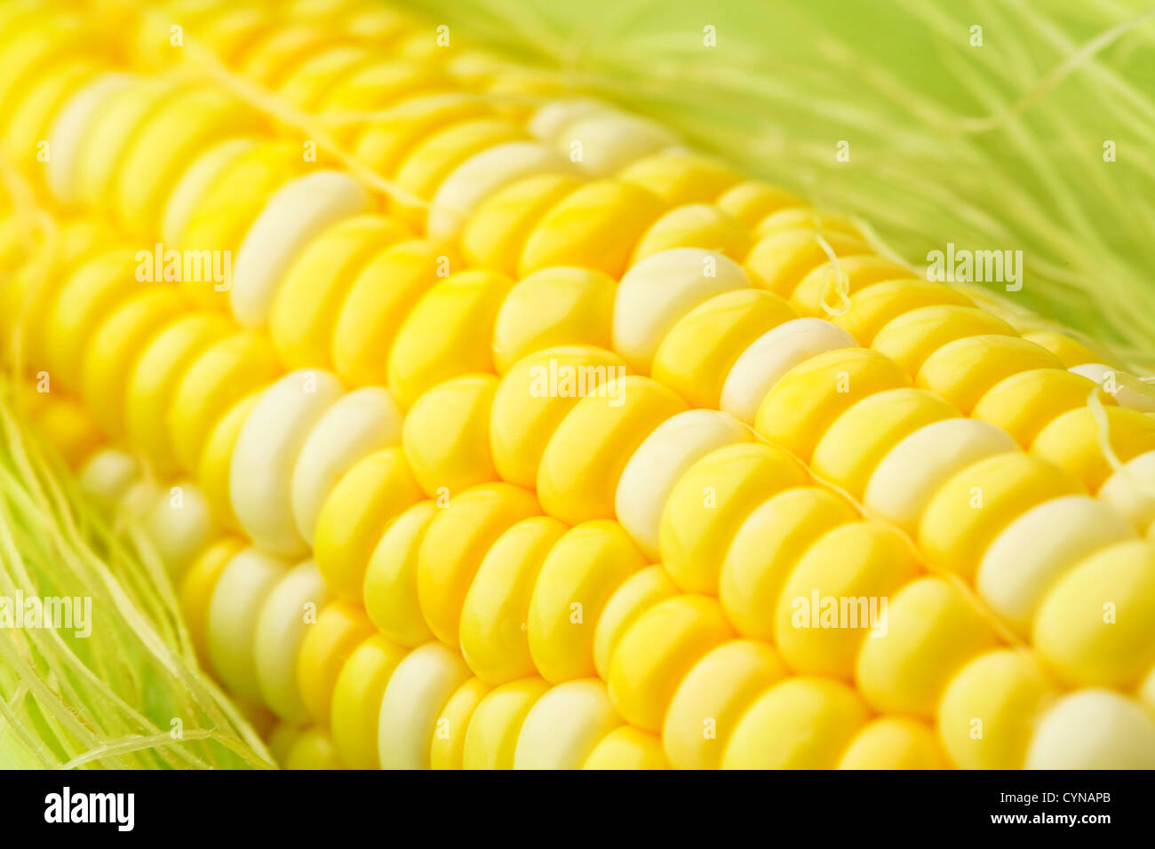 corn cob close up Stock Photo - Alamy