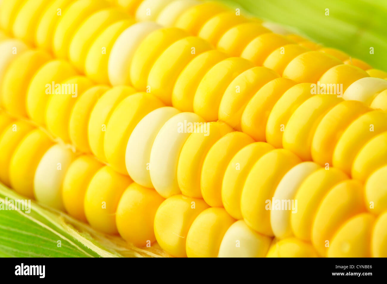 corn cob with green leaves Stock Photo - Alamy