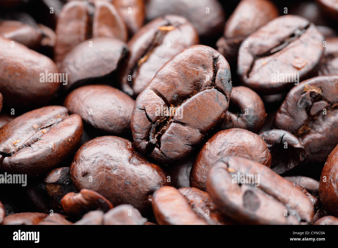 coffee bean close up Stock Photo - Alamy
