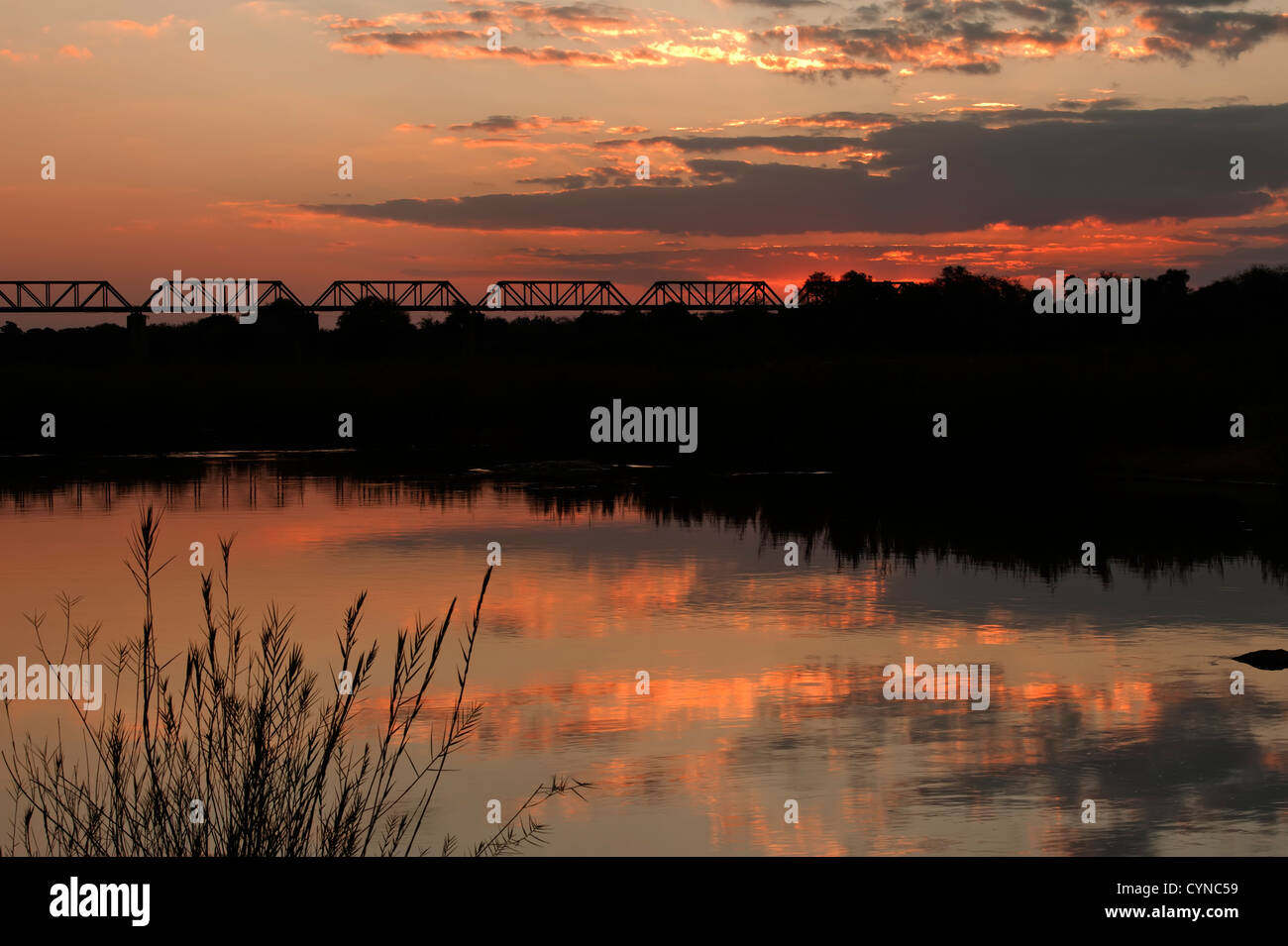 Bridge over the sabie river hi-res stock photography and images - Alamy