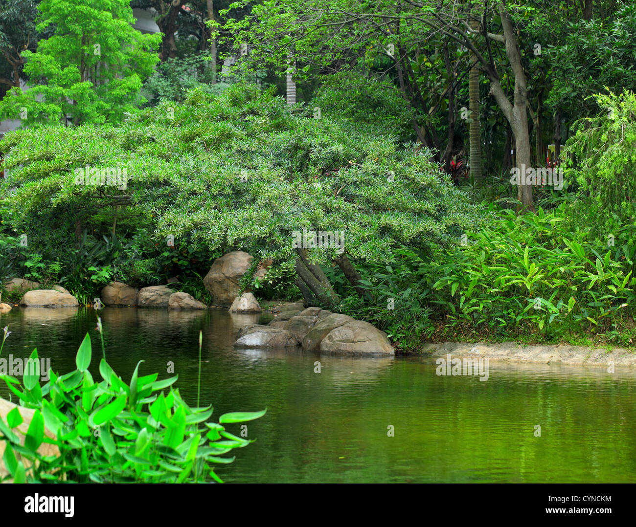 park with pond Stock Photo - Alamy
