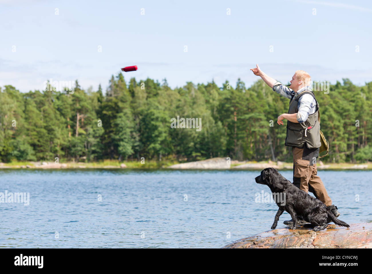 Man train his retriever by throwing a dummy Stock Photo - Alamy