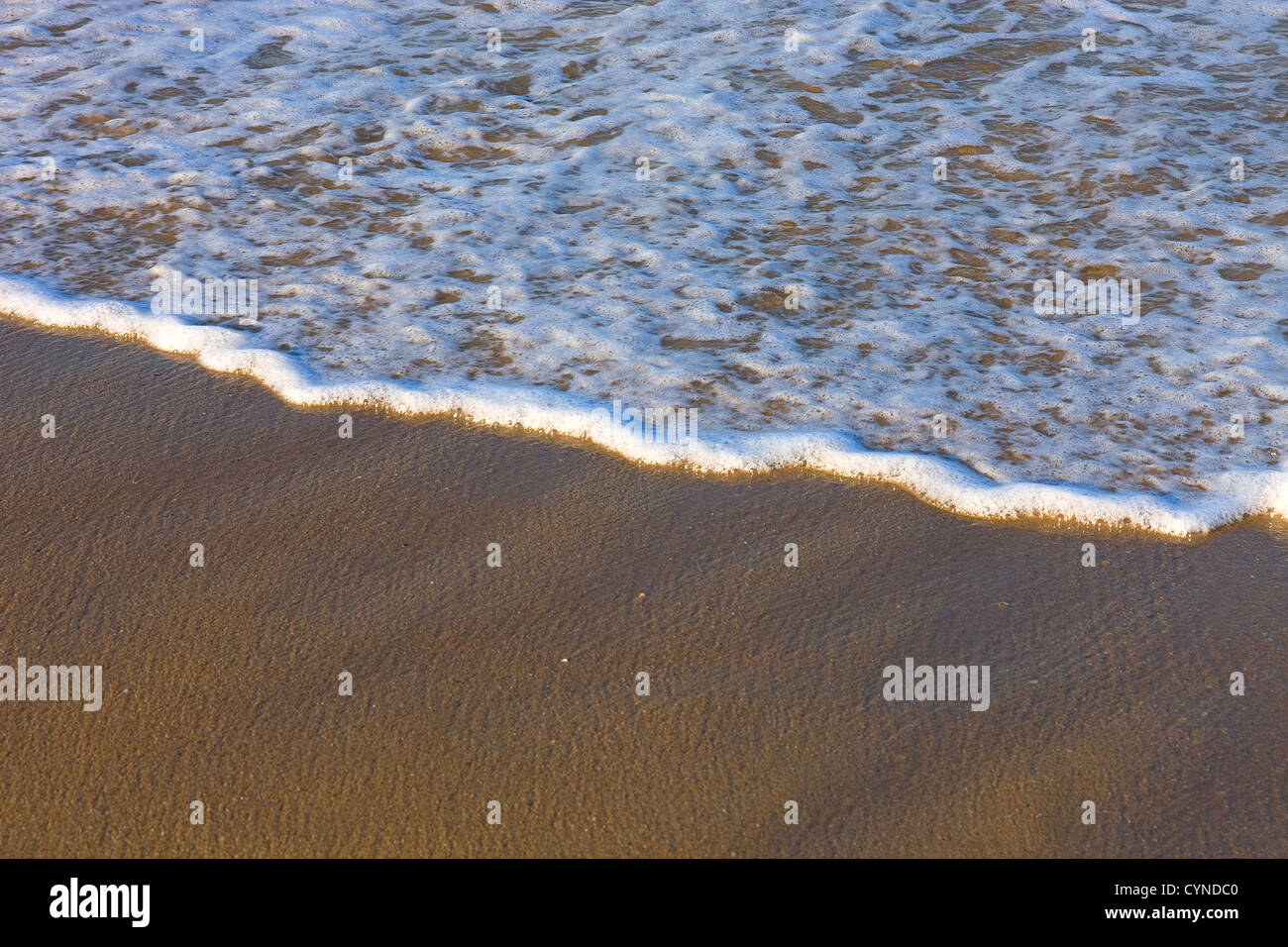 Sea Froth High Resolution Stock Photography and Images - Alamy