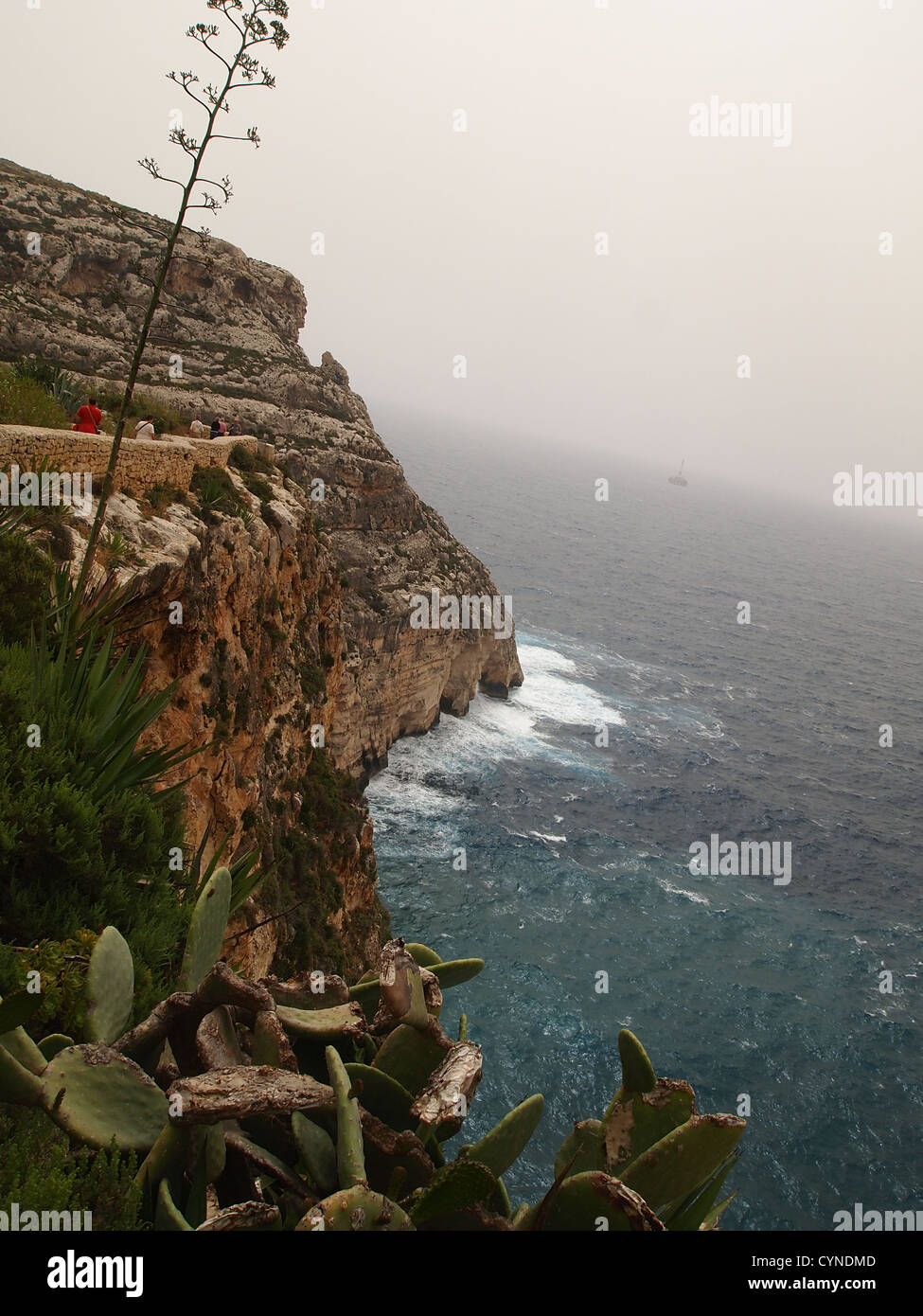 Waves at a cliff Stock Photo - Alamy