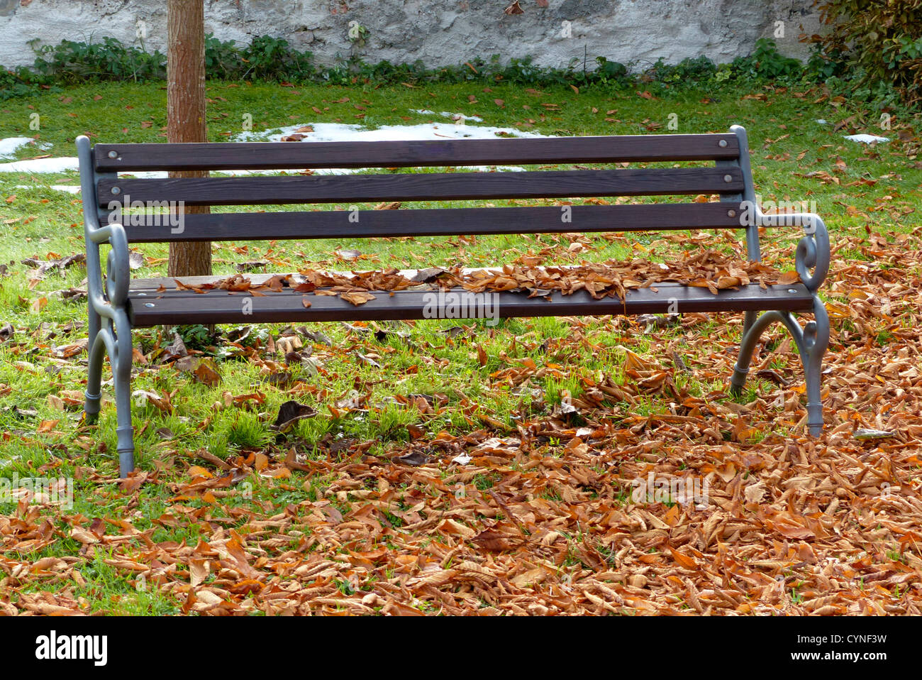 Lonely park bench in autumn Stock Photo - Alamy