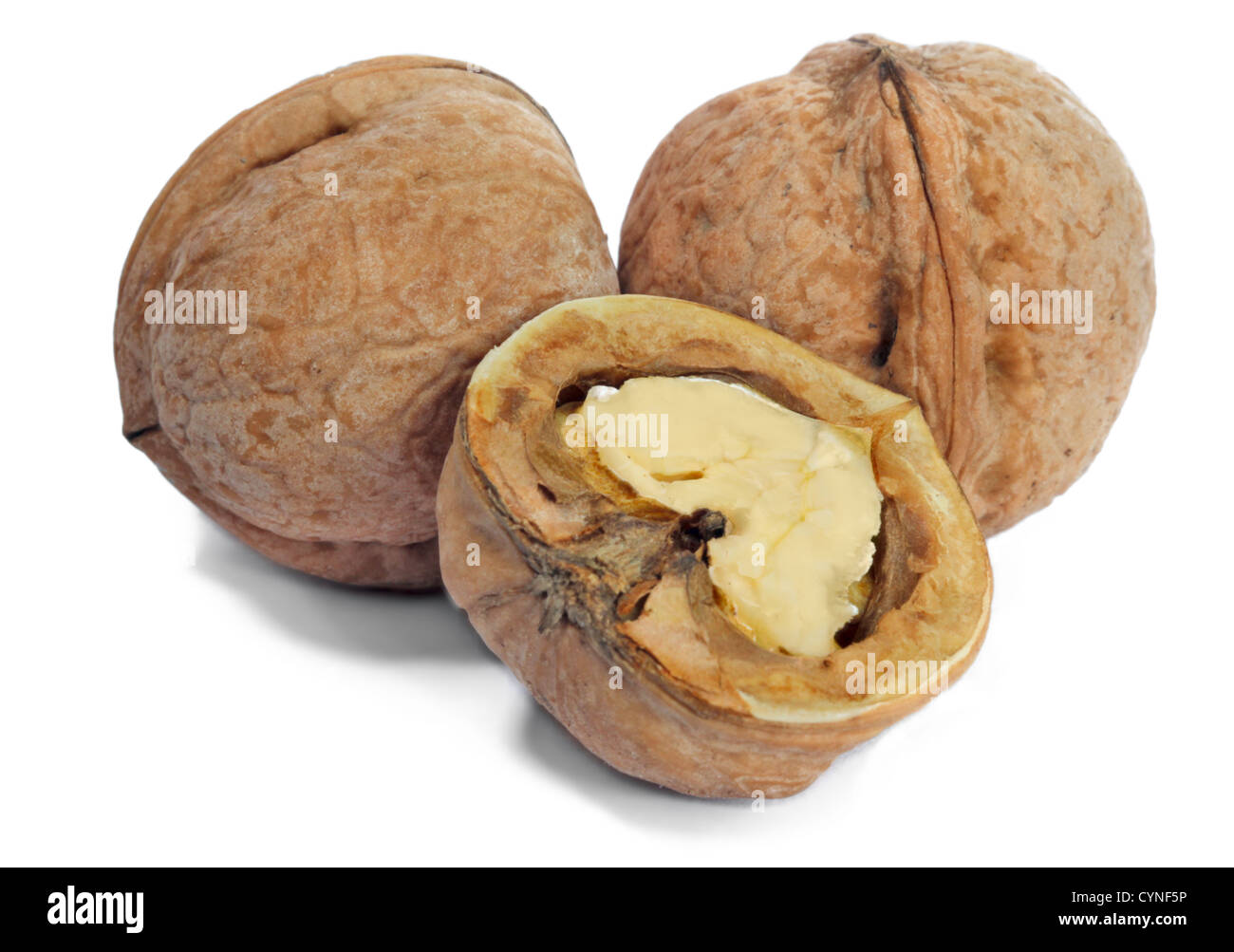 walnuts isolated on white Stock Photo - Alamy