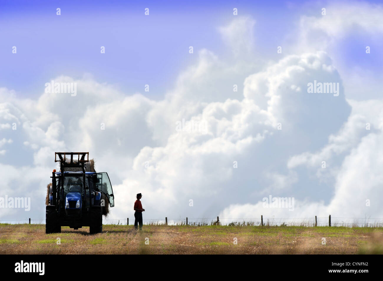 A farmer looks across his field after loading a trailer of hay bales in ...