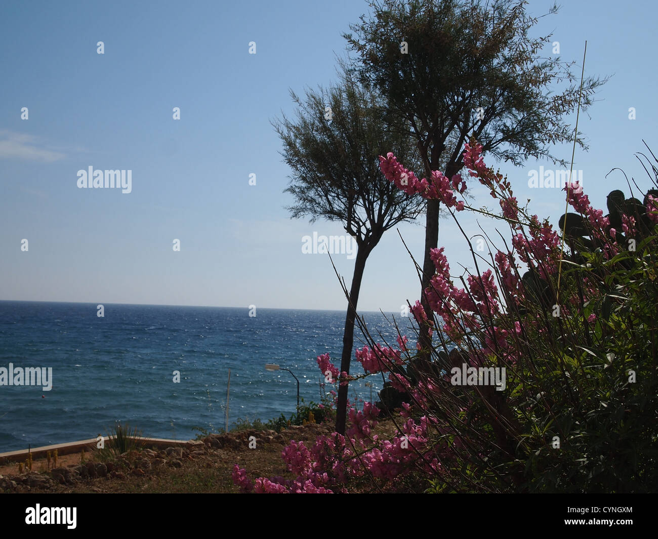 A view at a nice sea Stock Photo - Alamy