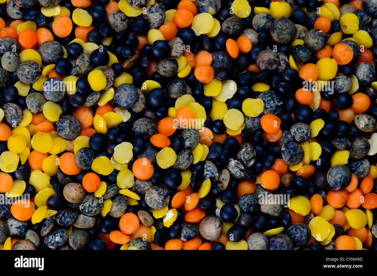 Lentil edible legume food crop hi-res stock photography and images - Alamy