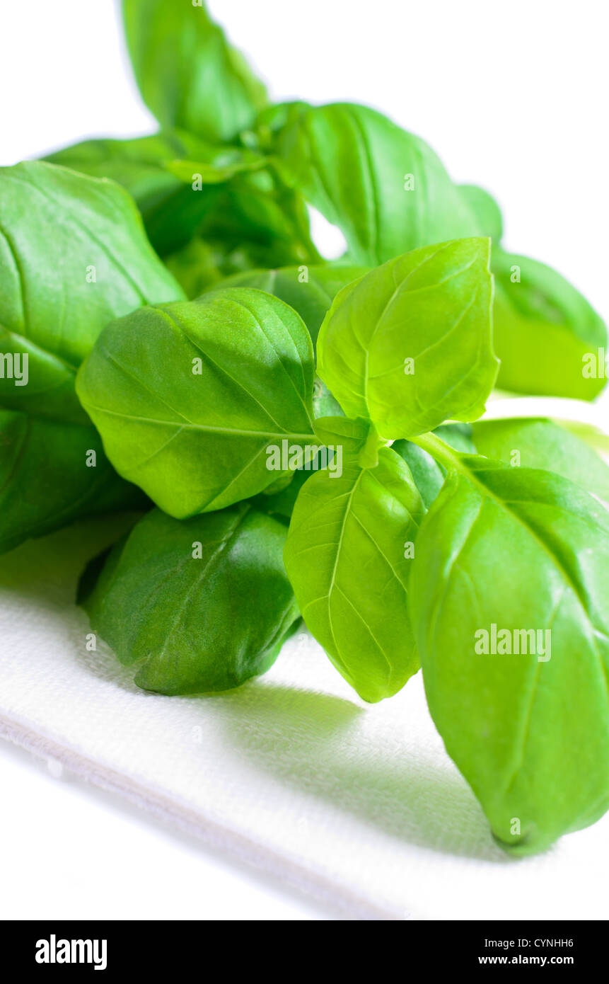 Sprig of basil in a white napkin Stock Photo - Alamy