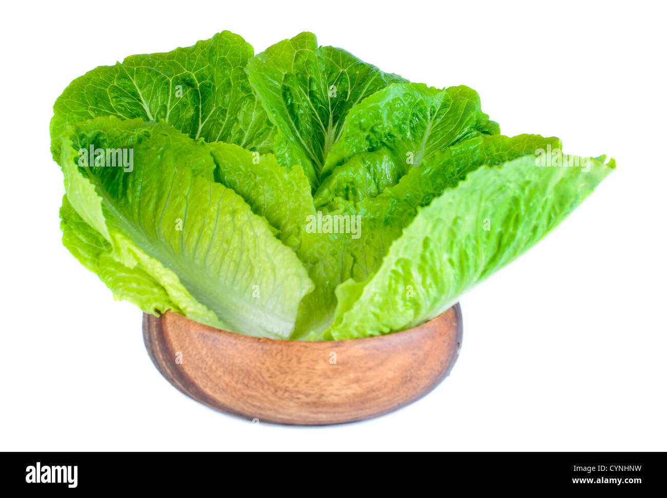 Roman lettuce hi-res stock photography and images - Alamy