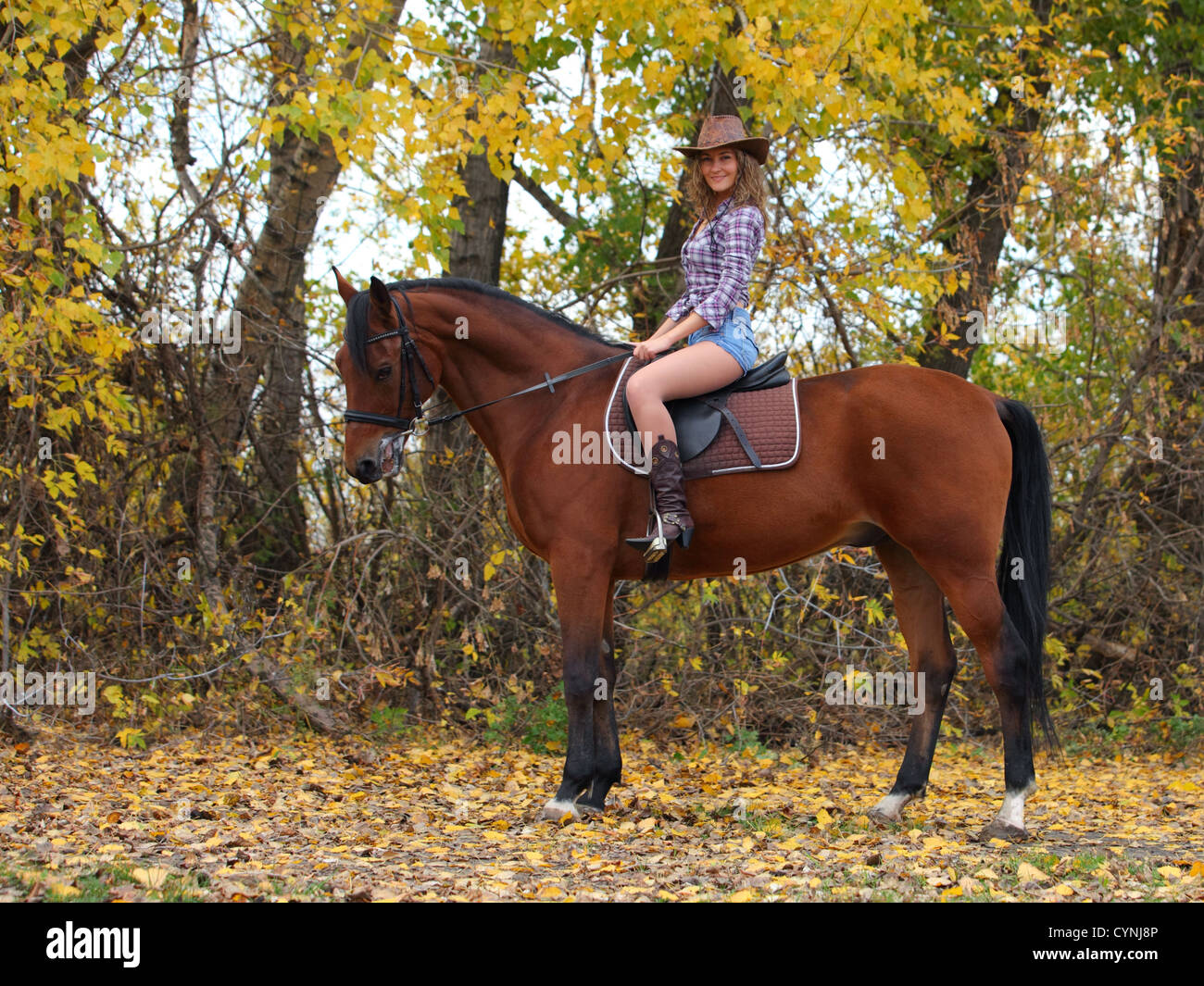 Woman Riding White Horse Stock Photos & Woman Riding White Horse Stock ...