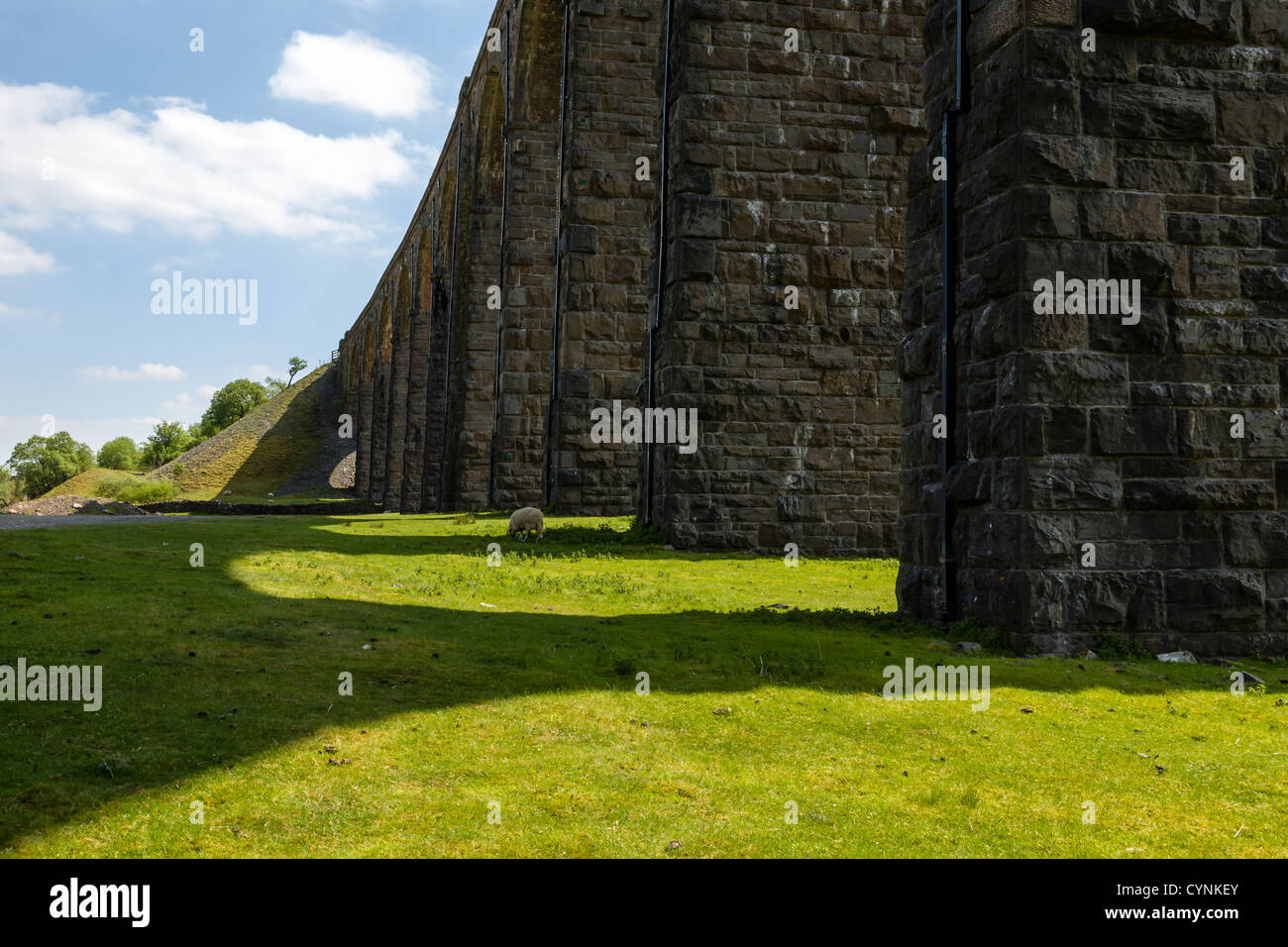 Ribblehead viaduct rail hi-res stock photography and images - Alamy
