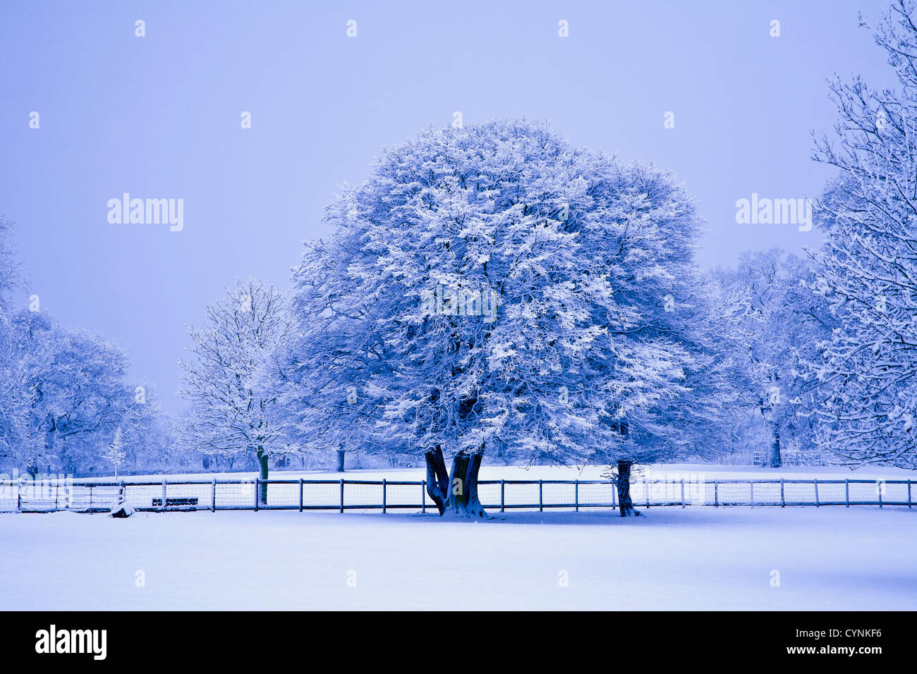 Winters chill hi-res stock photography and images - Alamy