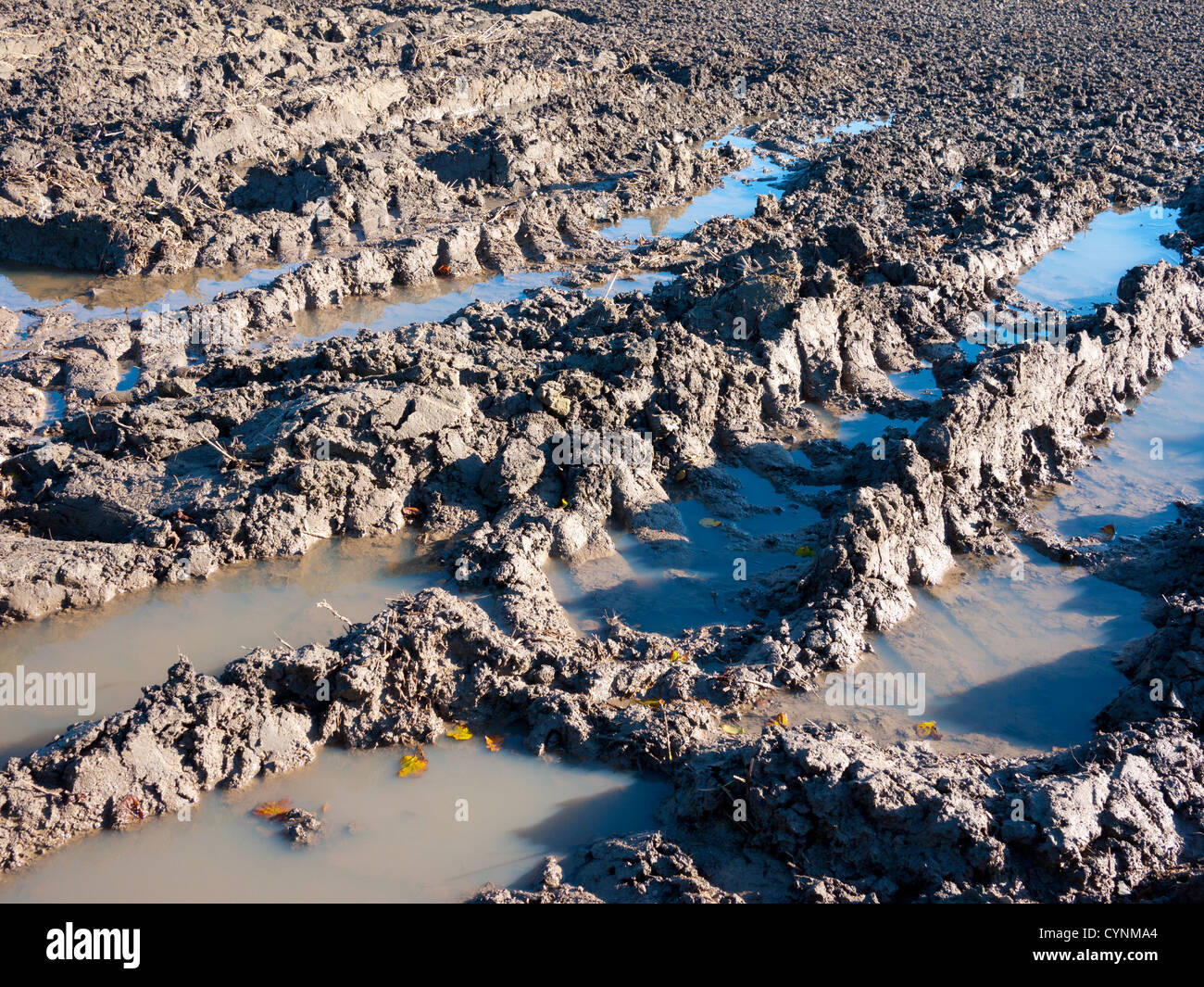 Tractor tracks on wet muddy field Stock Photo - Alamy