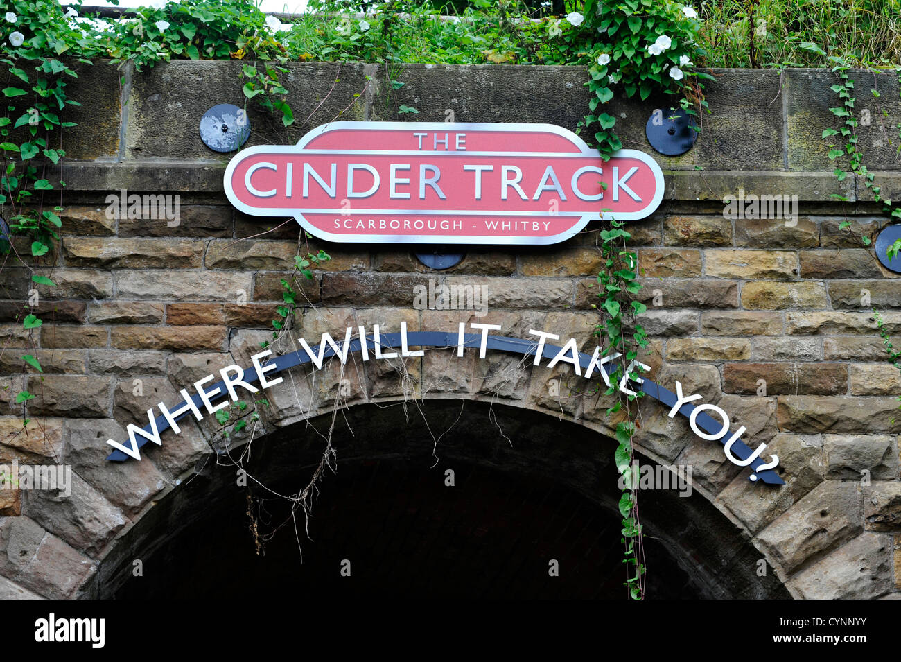 A bridge on the Cinder Track Railway, Whitby Stock Photo - Alamy
