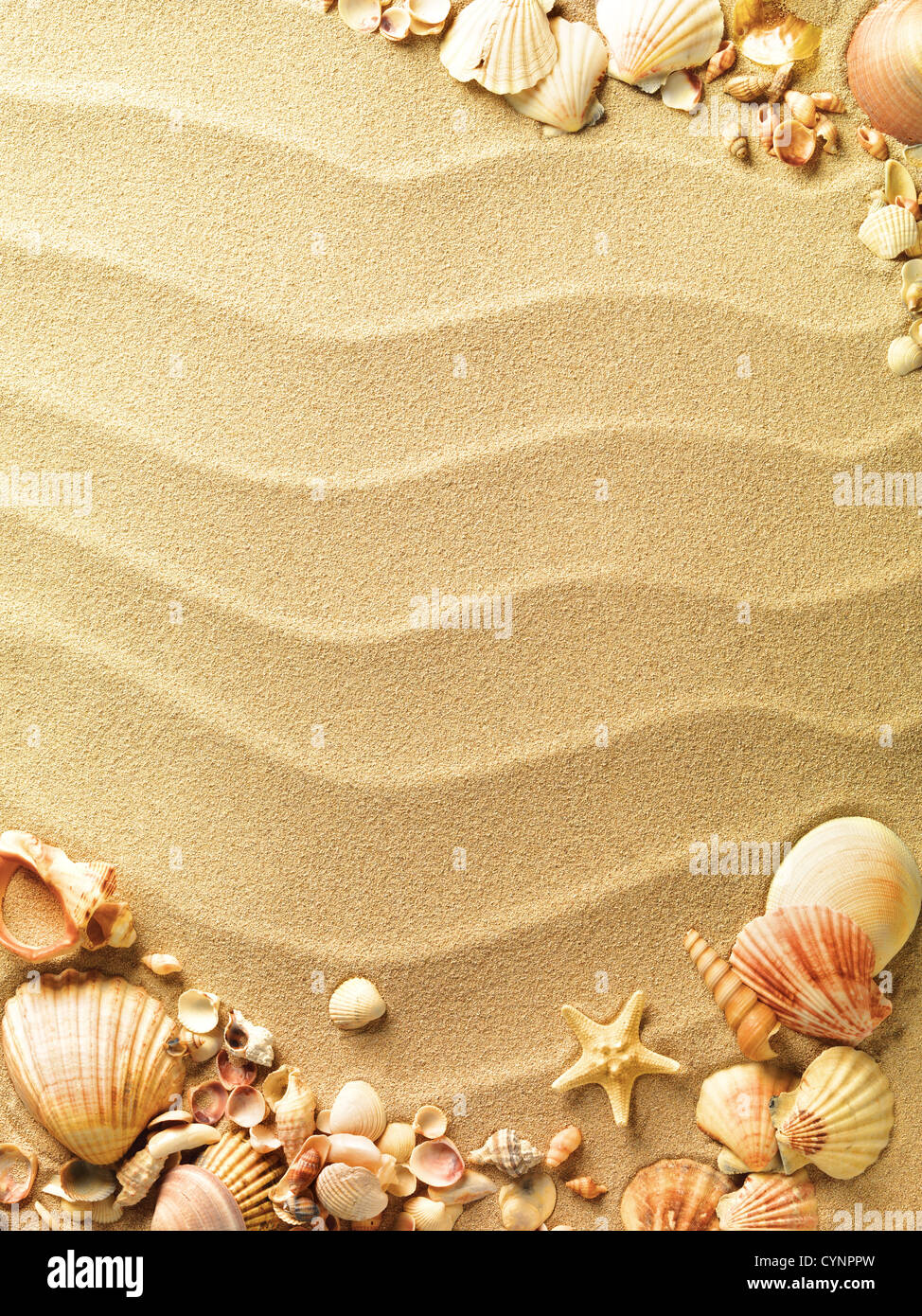 sea shells with sand as background Stock Photo - Alamy