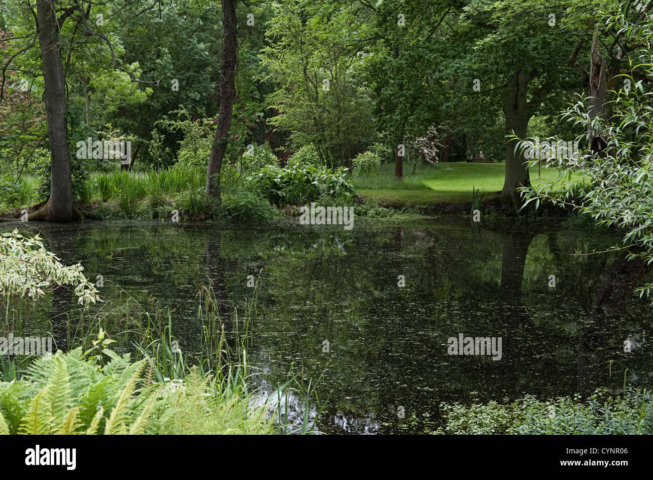 Looking across garden hi-res stock photography and images - Alamy