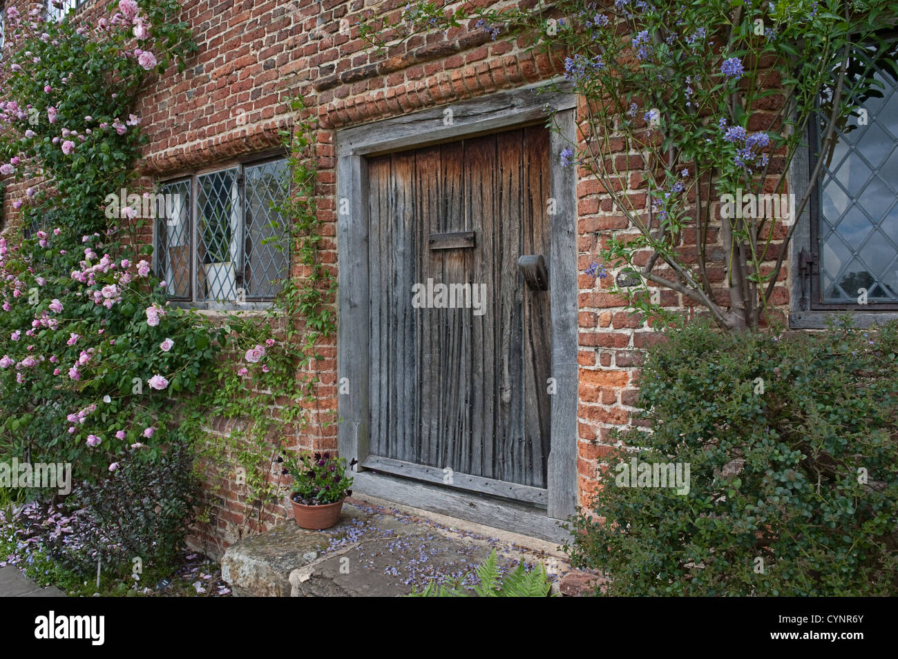Country cottage roses hi-res stock photography and images - Alamy