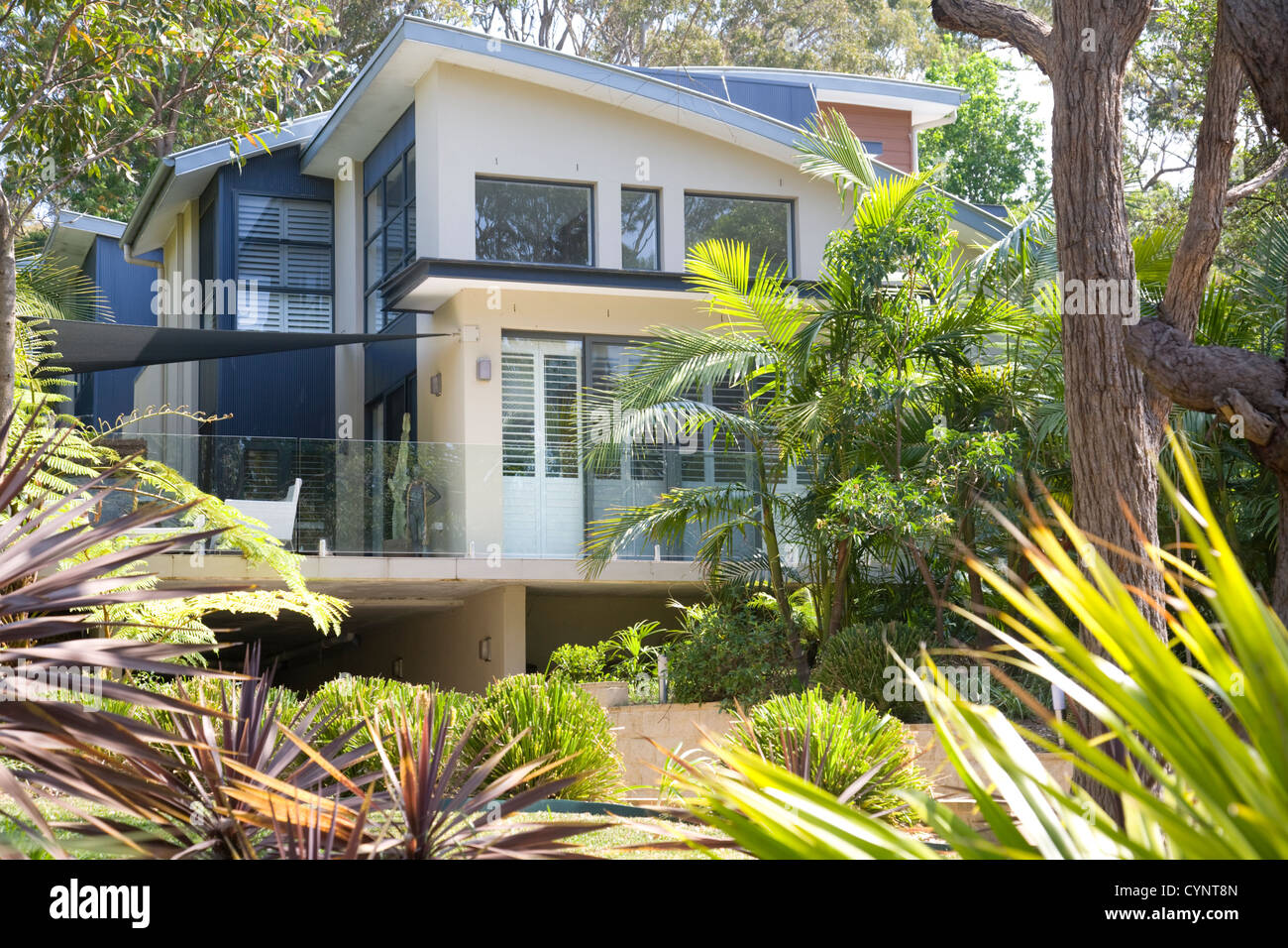 modern two storey detached australian home on sydney's northern beaches ...