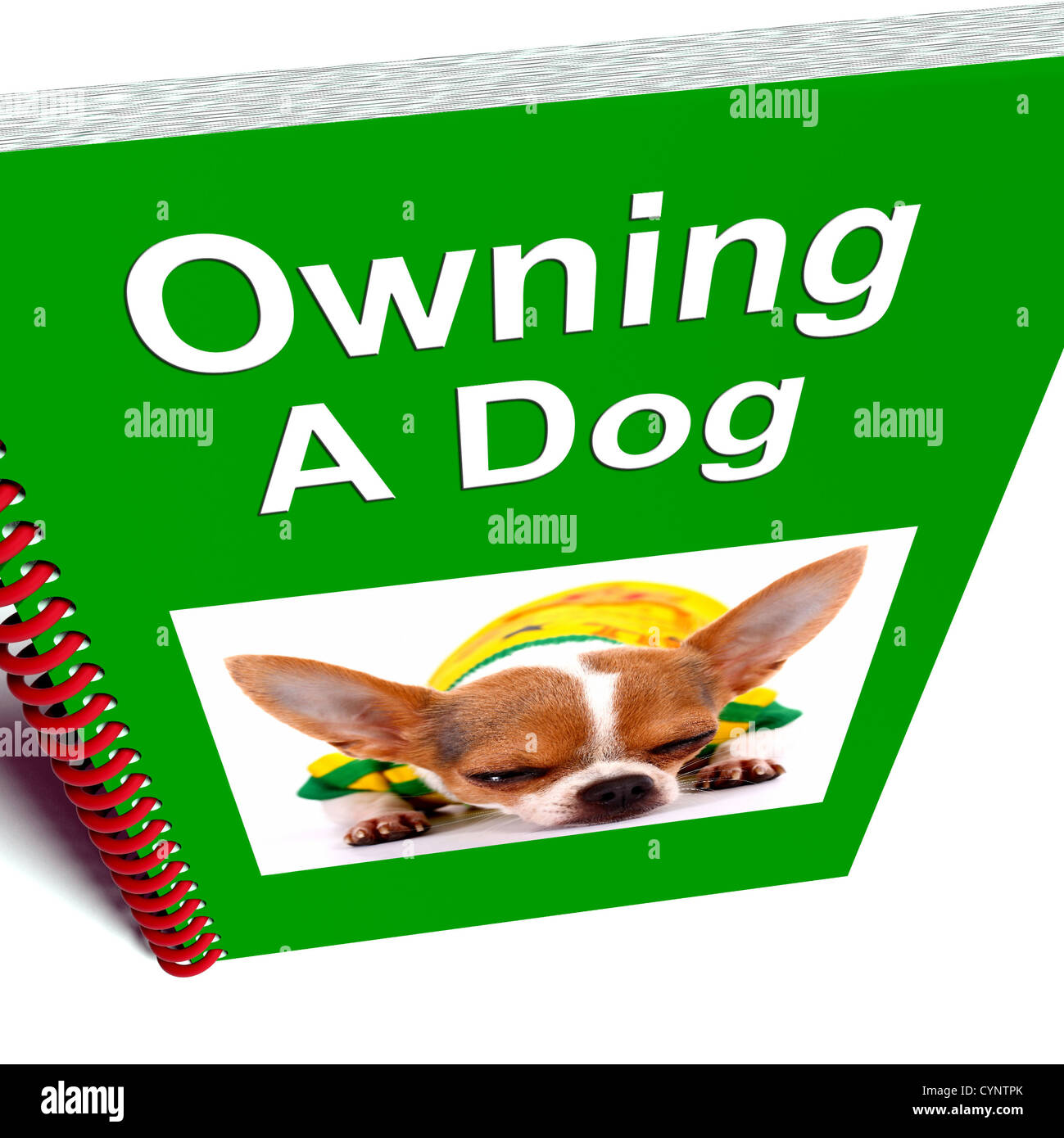 Owning and caring for a dog hi-res stock photography and images - Alamy