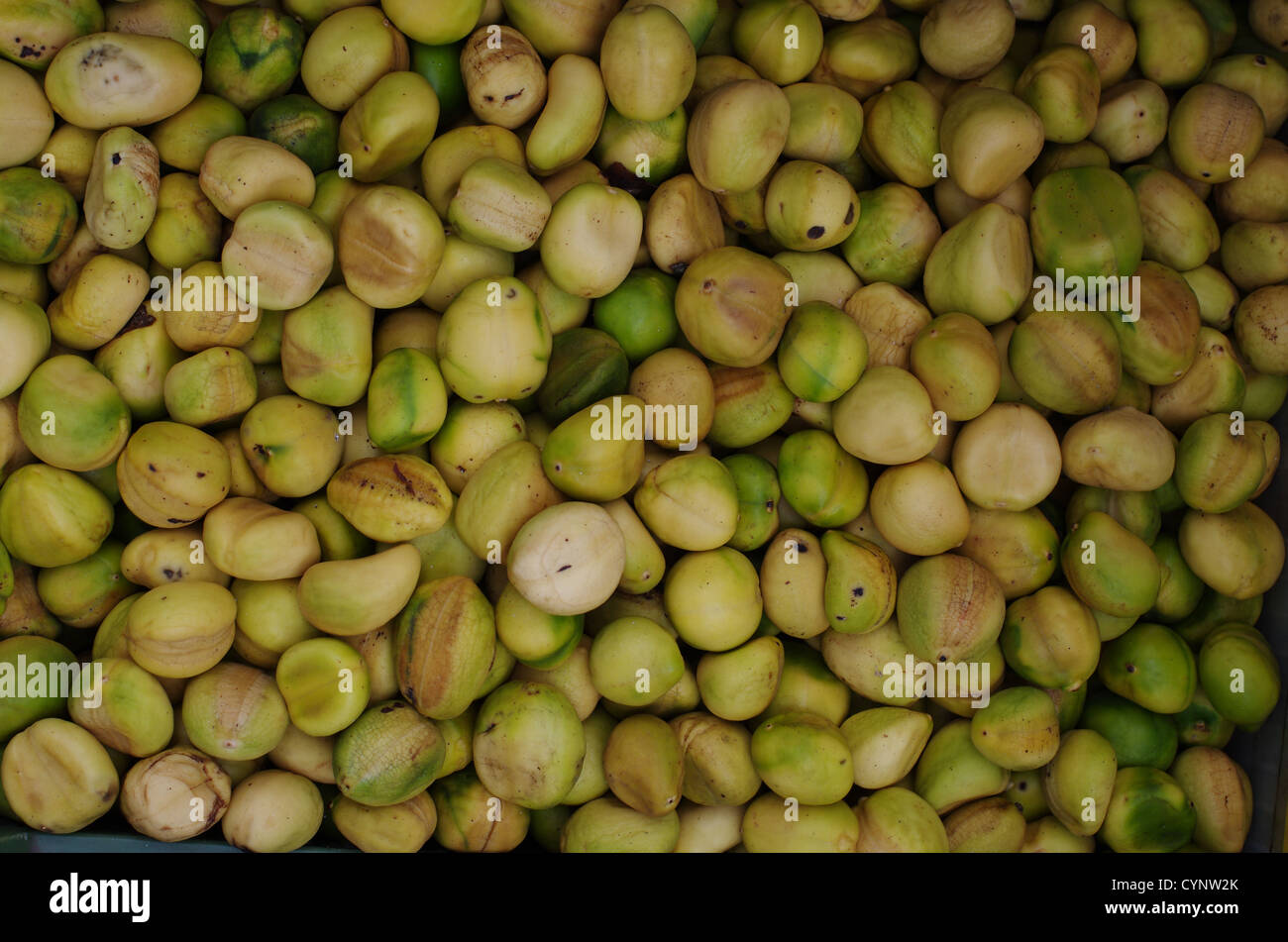 Tuber crop hi-res stock photography and images - Alamy