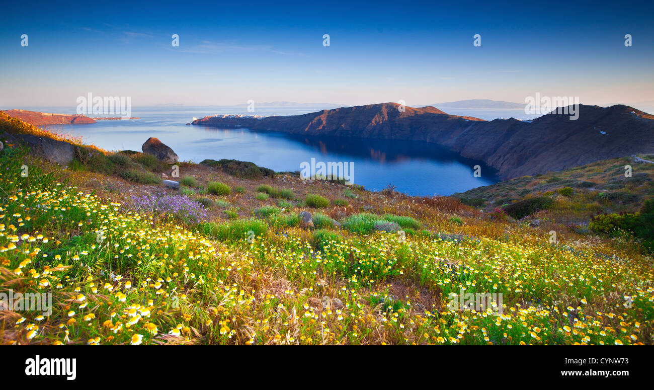 Springtime on the island of Santorini Stock Photo - Alamy