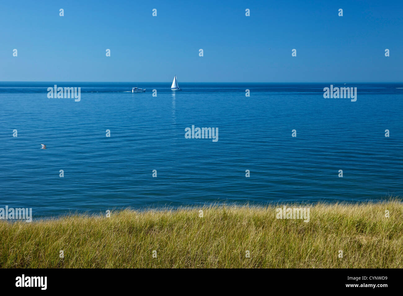 Saugatuck oval beach hi-res stock photography and images - Alamy