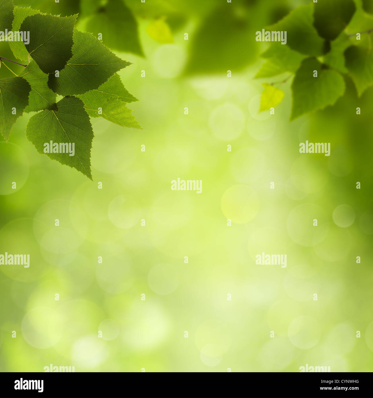 Natural Beauty. Abstract eco backgrounds for your design Stock Photo ...
