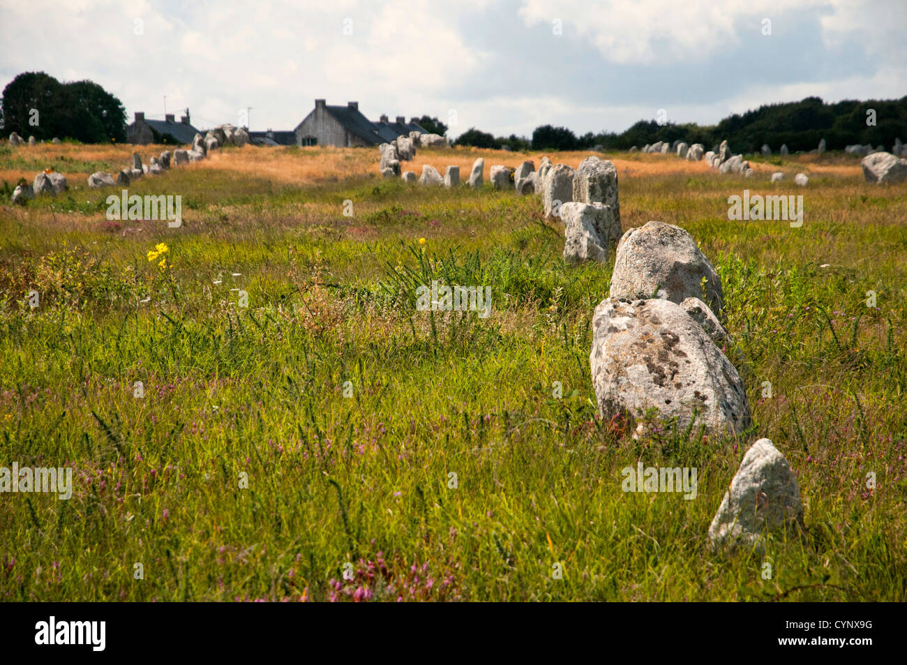 Carnac is famous as the site of more than 10,000+ Neolithic standing ...
