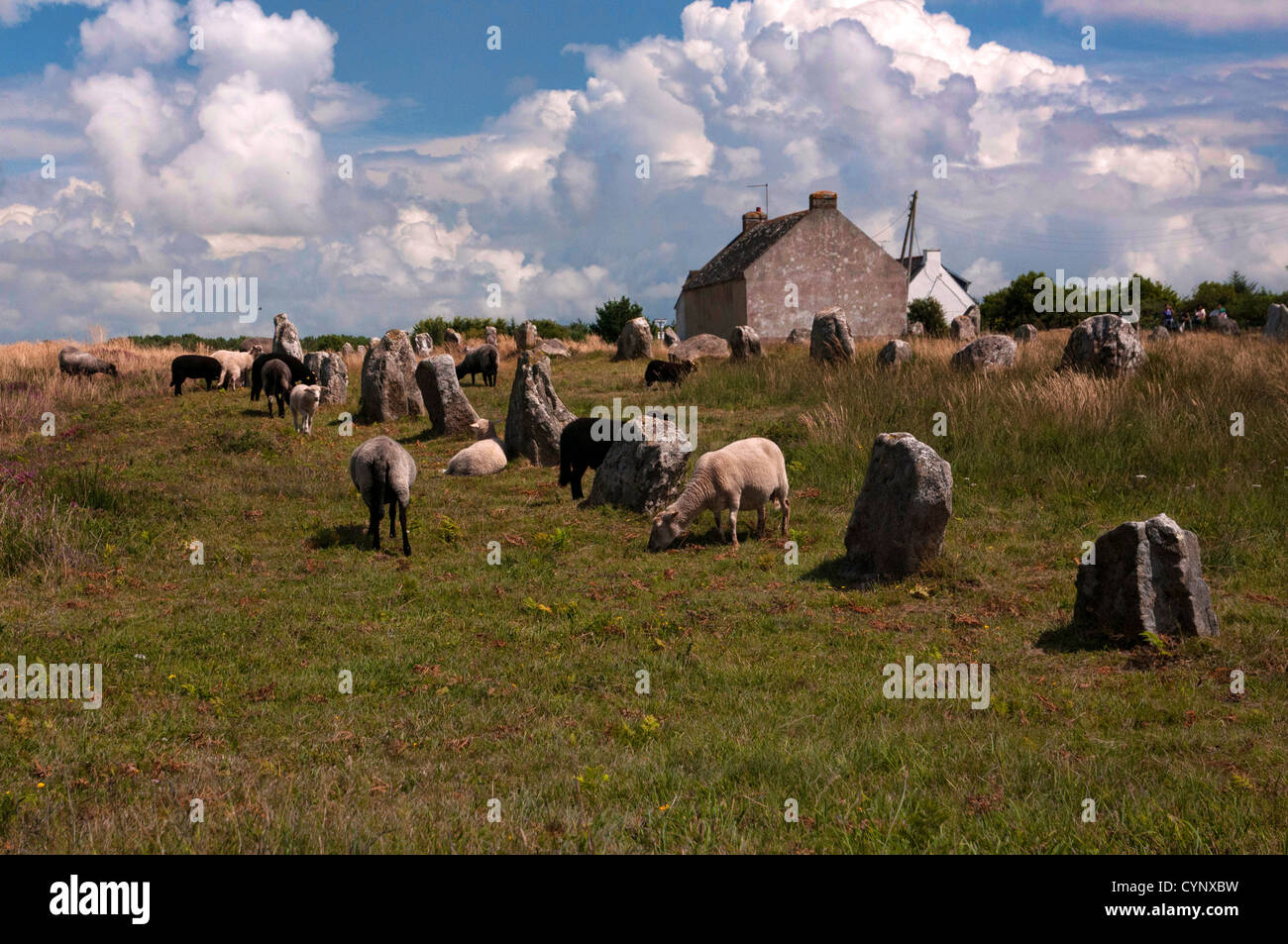 Carnac is famous as the site of more than 10,000+ Neolithic standing ...