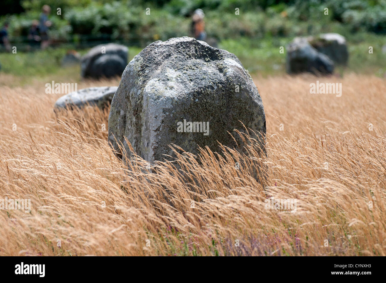 Carnac is famous as the site of more than 10,000+ Neolithic standing ...