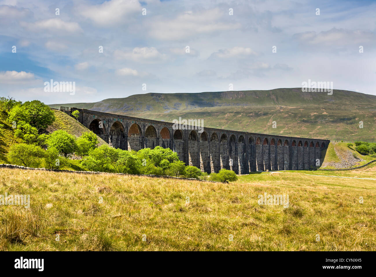 Ribblehead viaduct, North Yorkshire, England, UK Stock Photo - Alamy