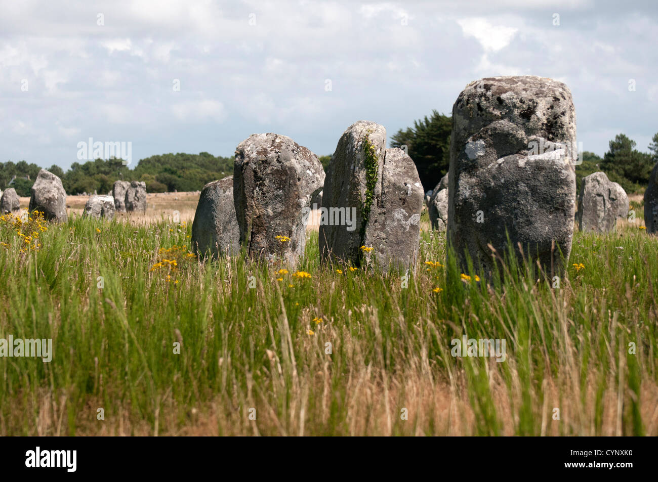 Carnac is famous as the site of more than 10,000+ Neolithic standing ...