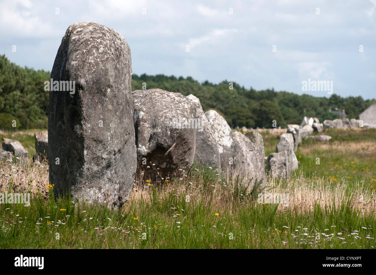 Carnac is famous as the site of more than 10,000+ Neolithic standing ...