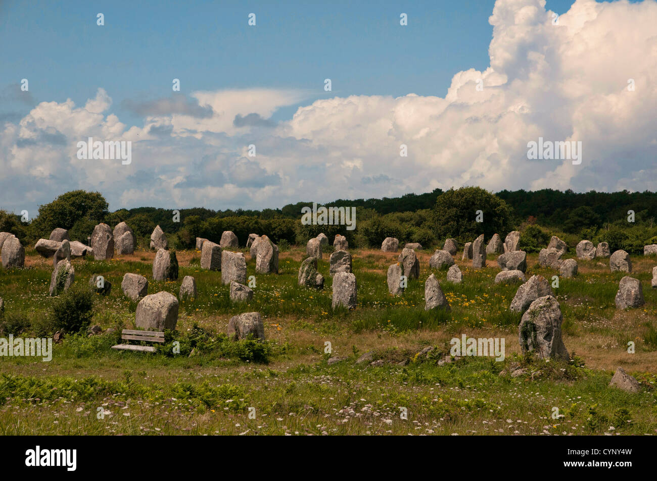 Carnac is famous as the site of more than 10,000+ Neolithic standing ...