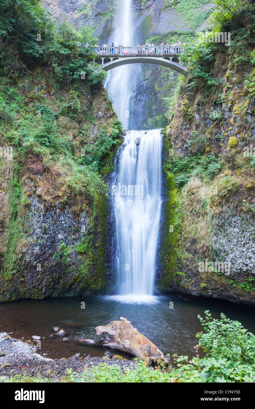 Multnomah Falls in Oregon Stock Photo - Alamy