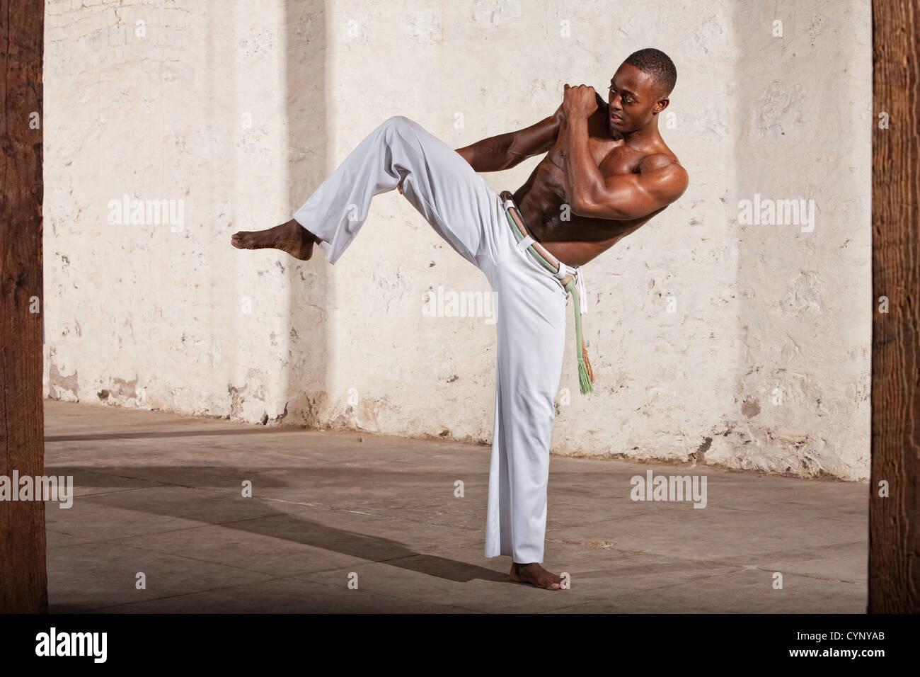 Taekwondo Roundhouse Kick