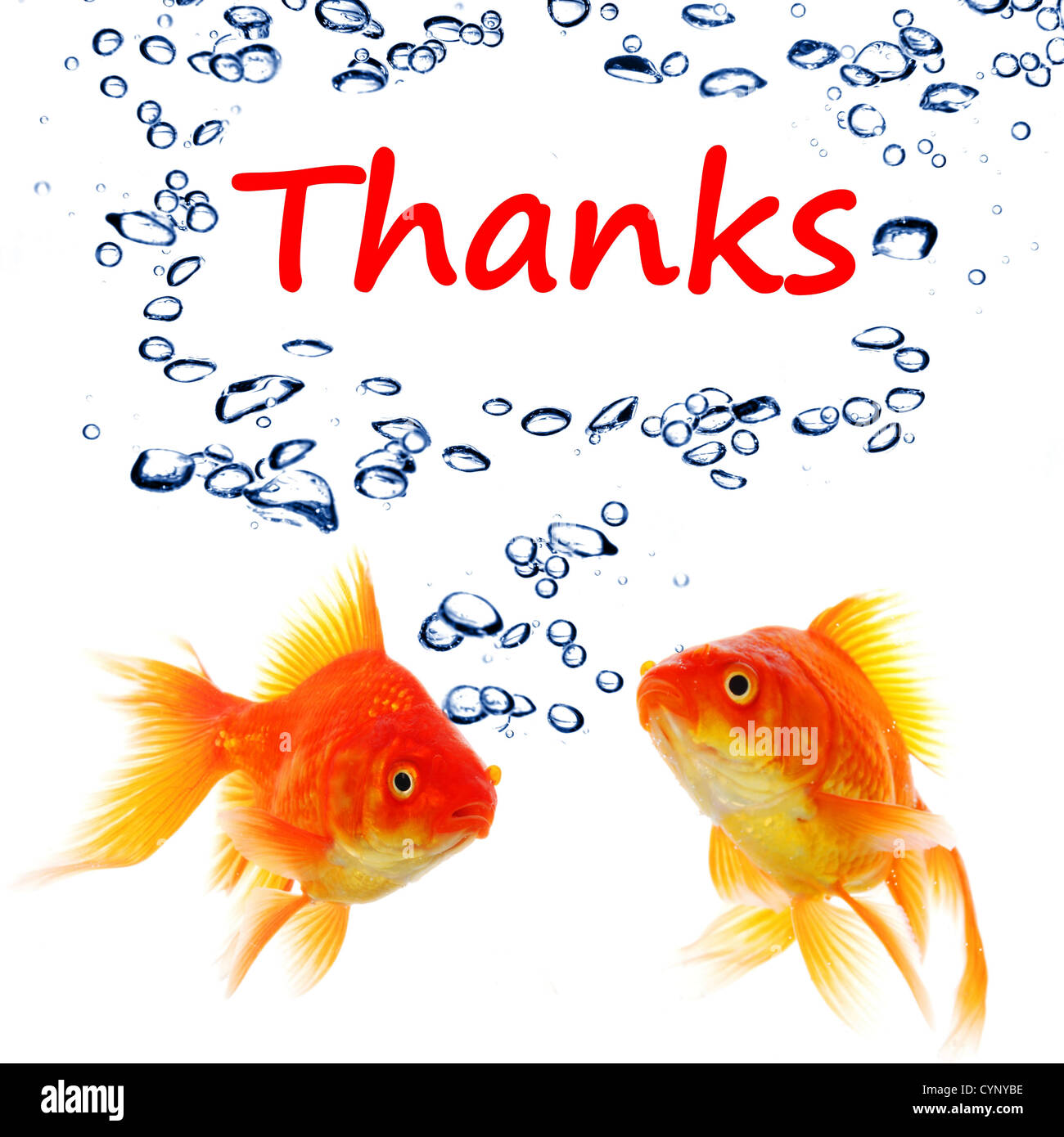Thanks word hi-res stock photography and images - Alamy