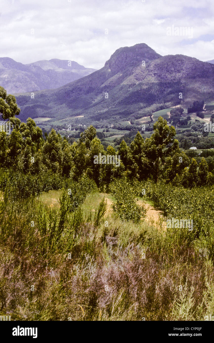 Drakenstein and stellenbosch mountains hi-res stock photography and ...