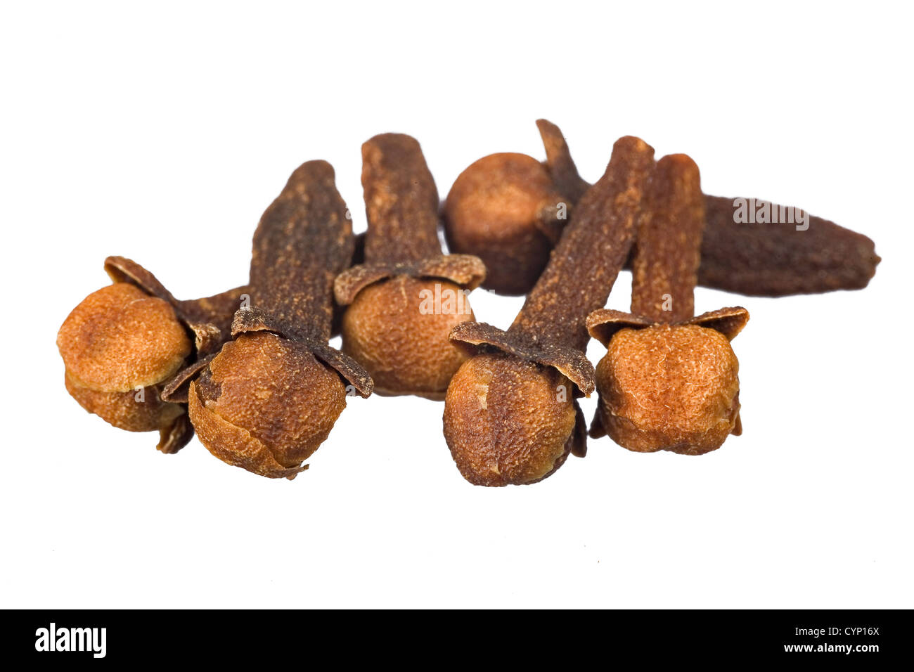 macro group of whole cloves isolated on a white background Stock Photo ...
